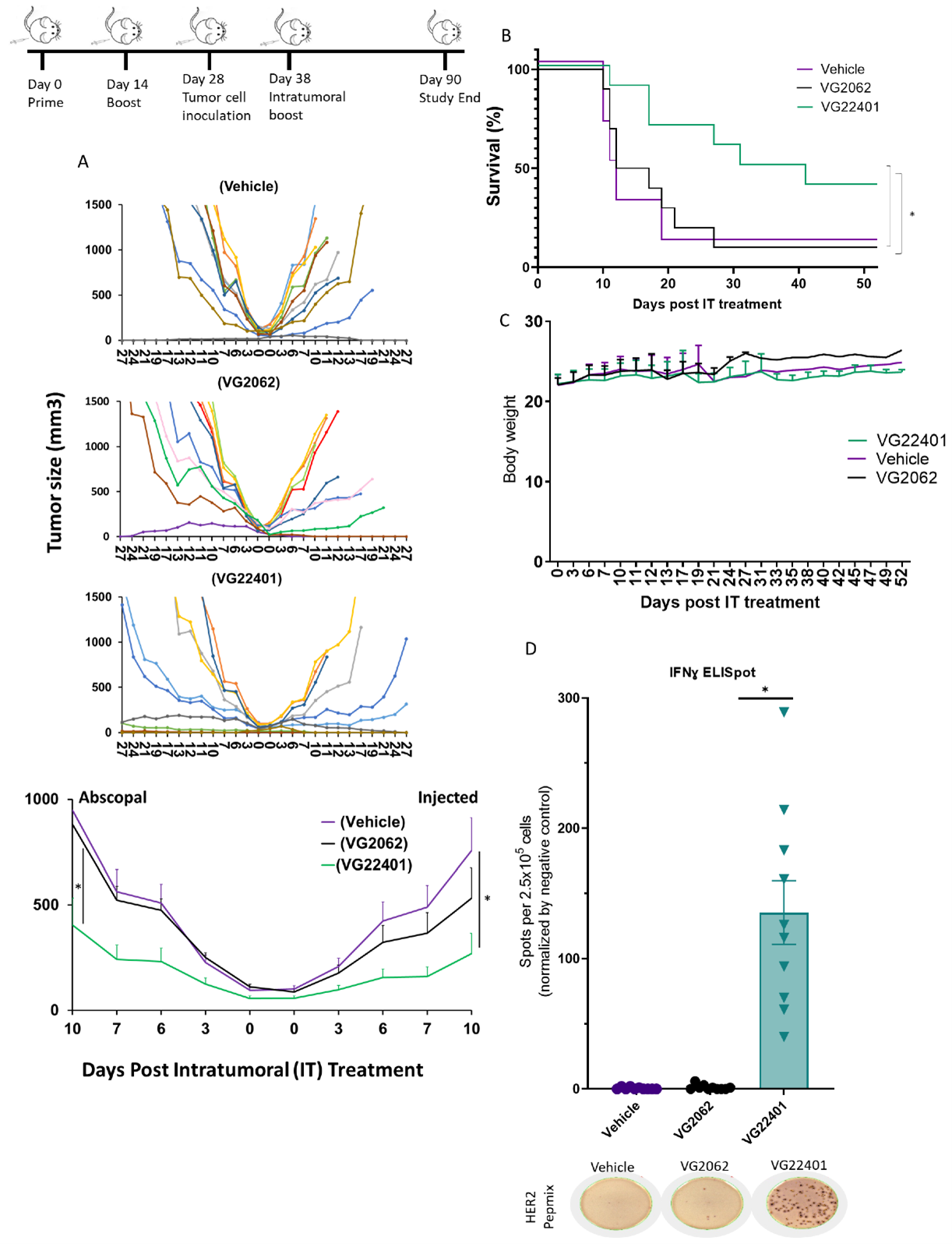 Virogin Announces its Publication of Homologous Prime Boost Strategy ...