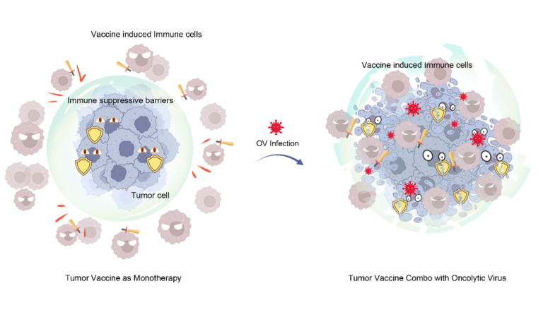 Prime-Boost Approach - Virogin